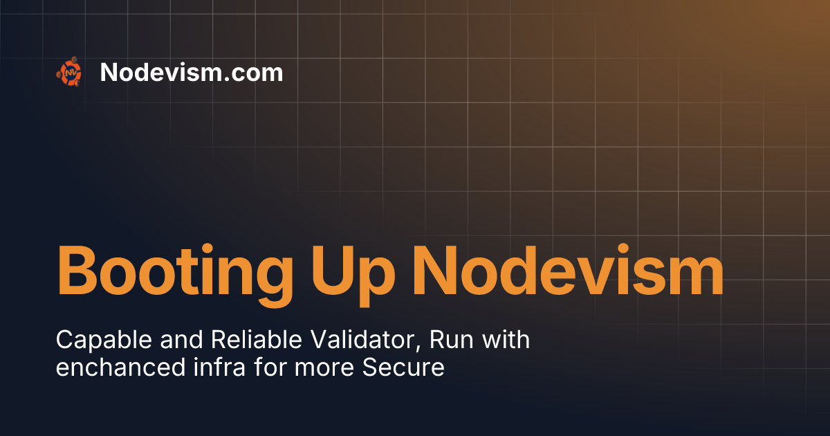 Booting Up Nodevism | Nodevism.com